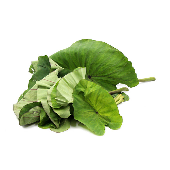 Vegetables – THE ALTITUDE STORE