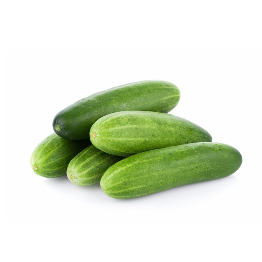 CUCUMBER / KHEERA (DESI) | Natural & Organic | SKU: ES010A – THE ...