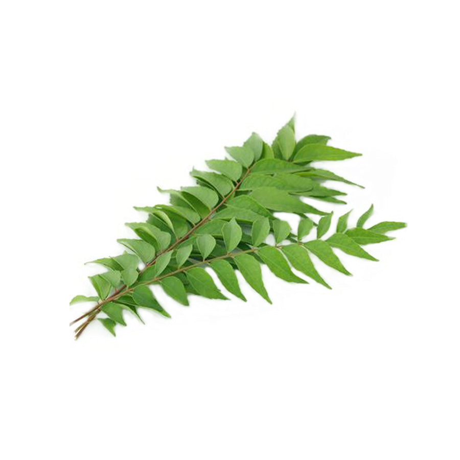 CURRY LEAVES (KADI PATTA) | Natural & Organic | SKU: VE015A – THE ...